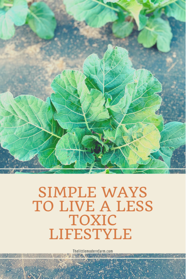 Steps to a Non-Toxic Lifestyle: Cookware Guide - The Little Modern Farm