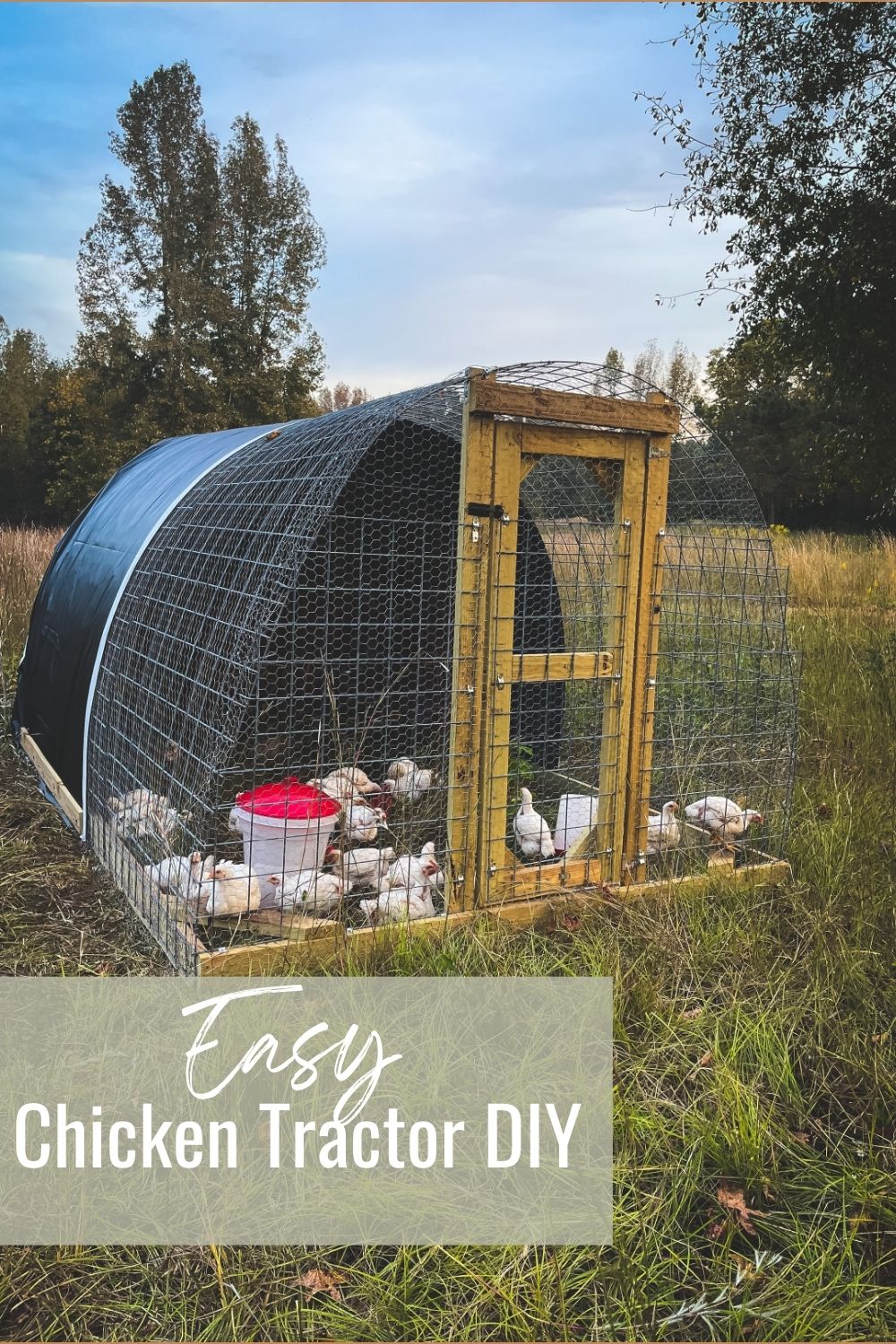 Easy Chicken Tractor DIY and Ideas - The Little Modern Farm