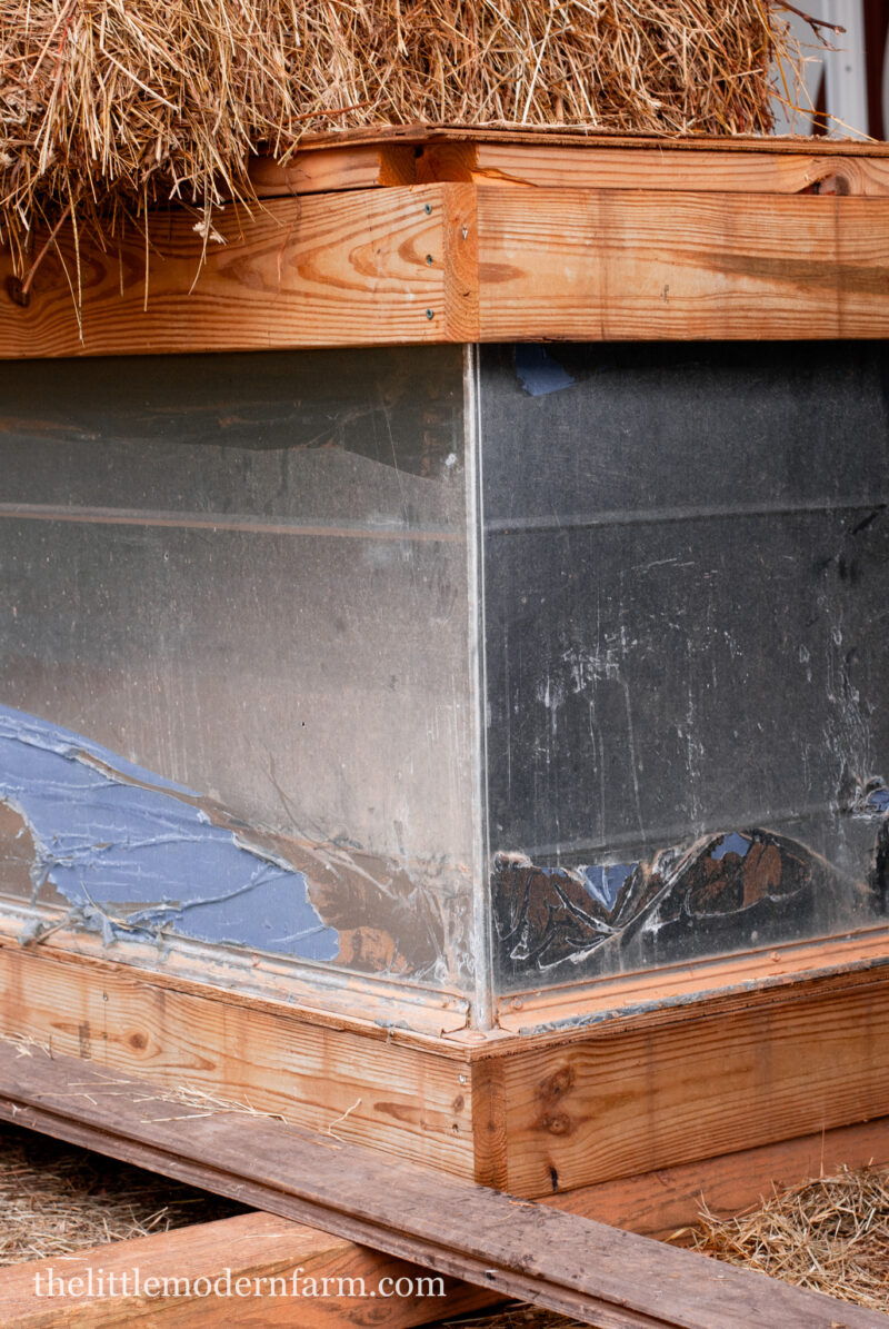 Setting Up A Chicken Brooder - The Little Modern Farm