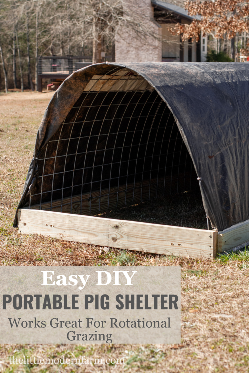 Portable Pig Shelter - The Little Modern Farm