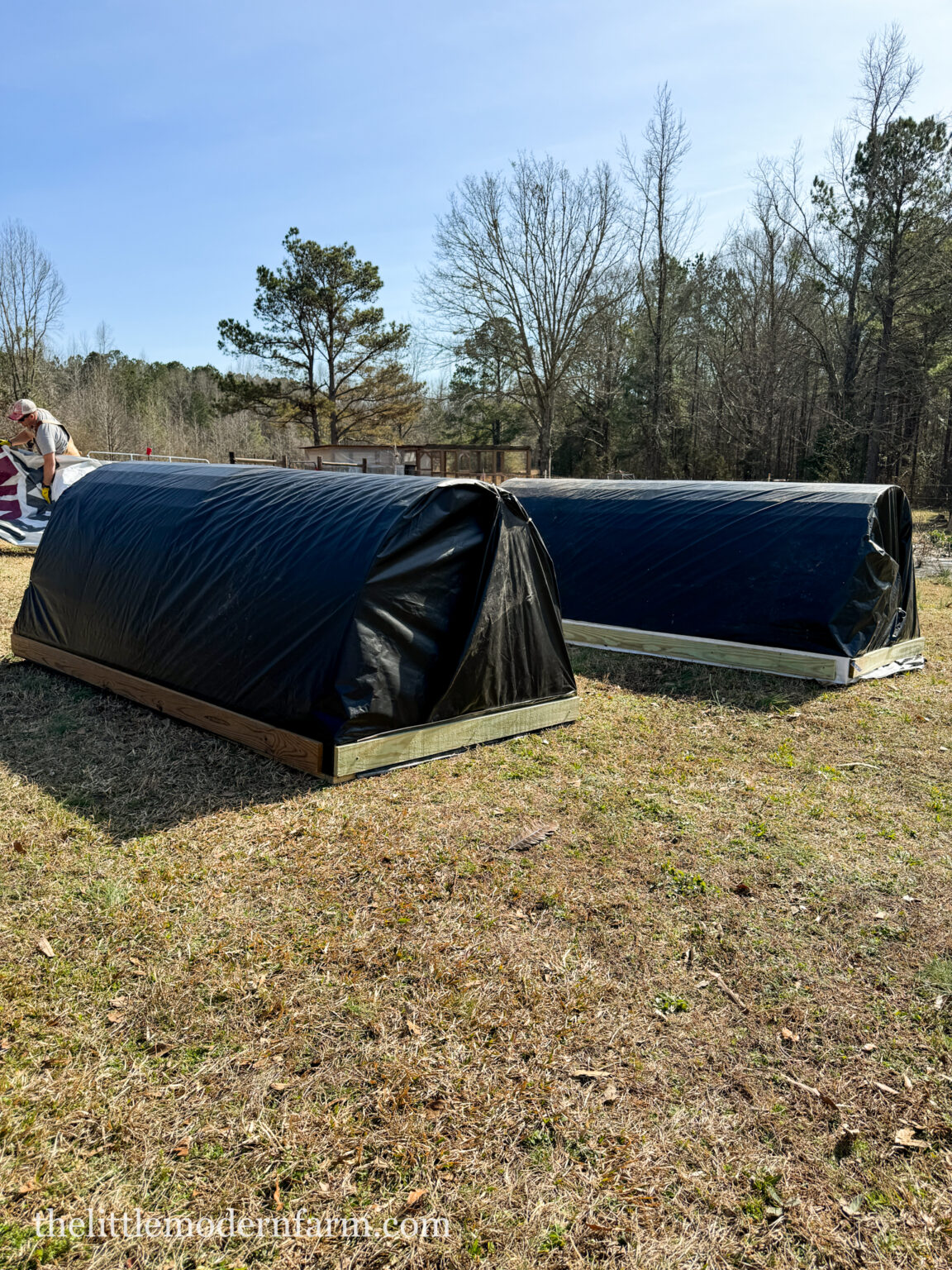 Portable Pig Shelter - The Little Modern Farm