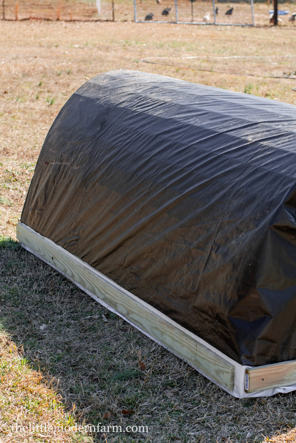 Portable Pig Shelter - The Little Modern Farm