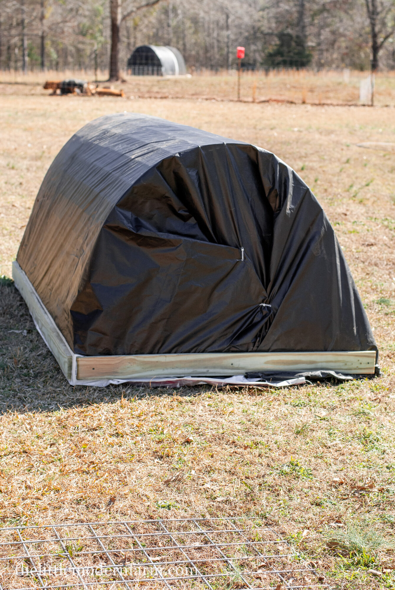 Portable Pig Shelter - The Little Modern Farm