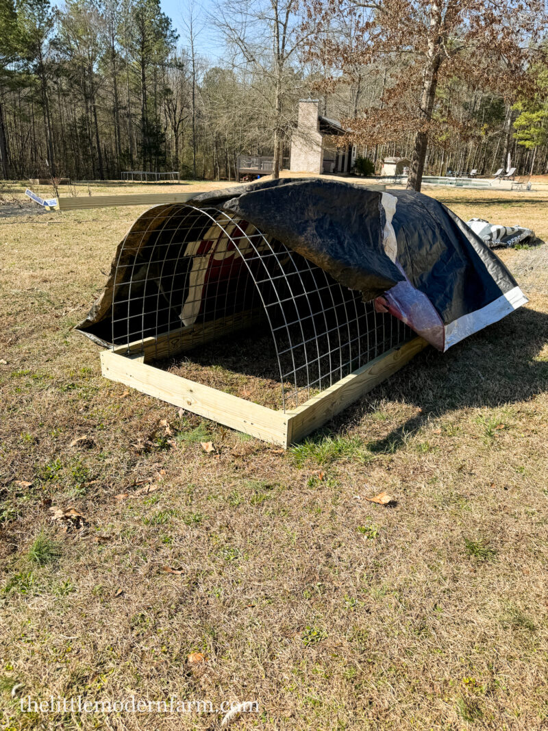 Portable Pig Shelter - The Little Modern Farm