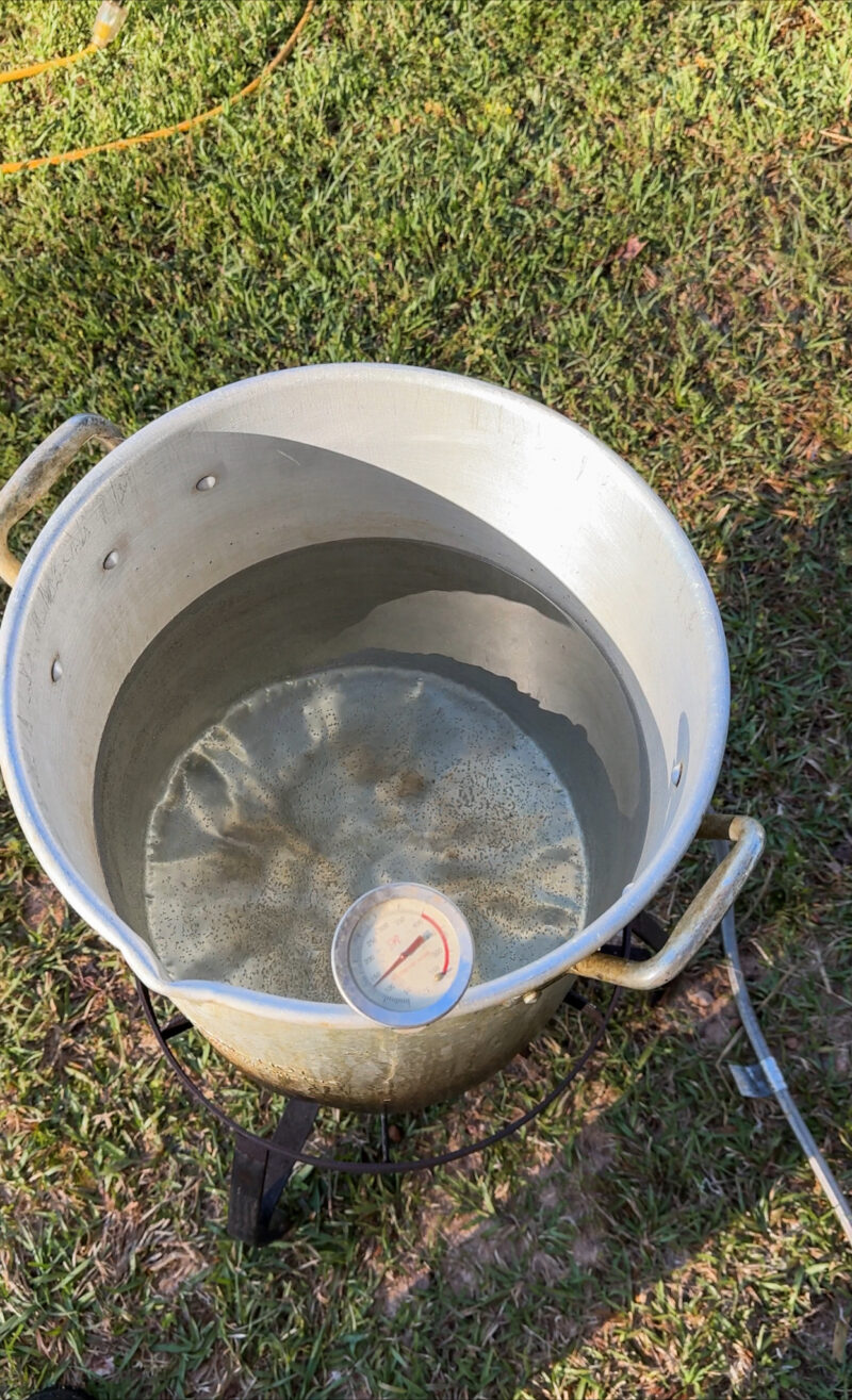 How To Process A Chicken - The Little Modern Farm