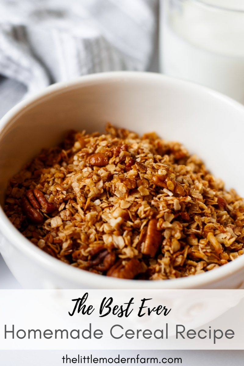 The BEST Ever Homemade Breakfast Cereal Recipe - The Little Modern Farm