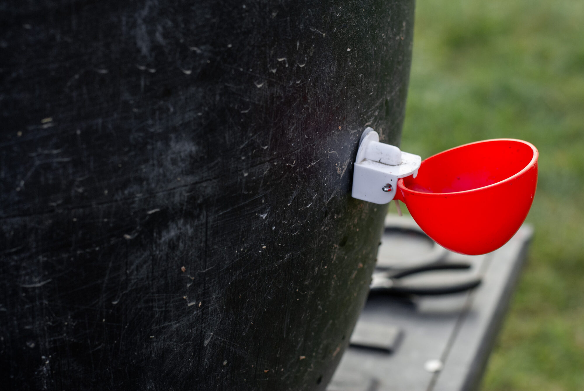 How To Build an Easy DIY Bulk Chicken Waterer - The Little Modern Farm
